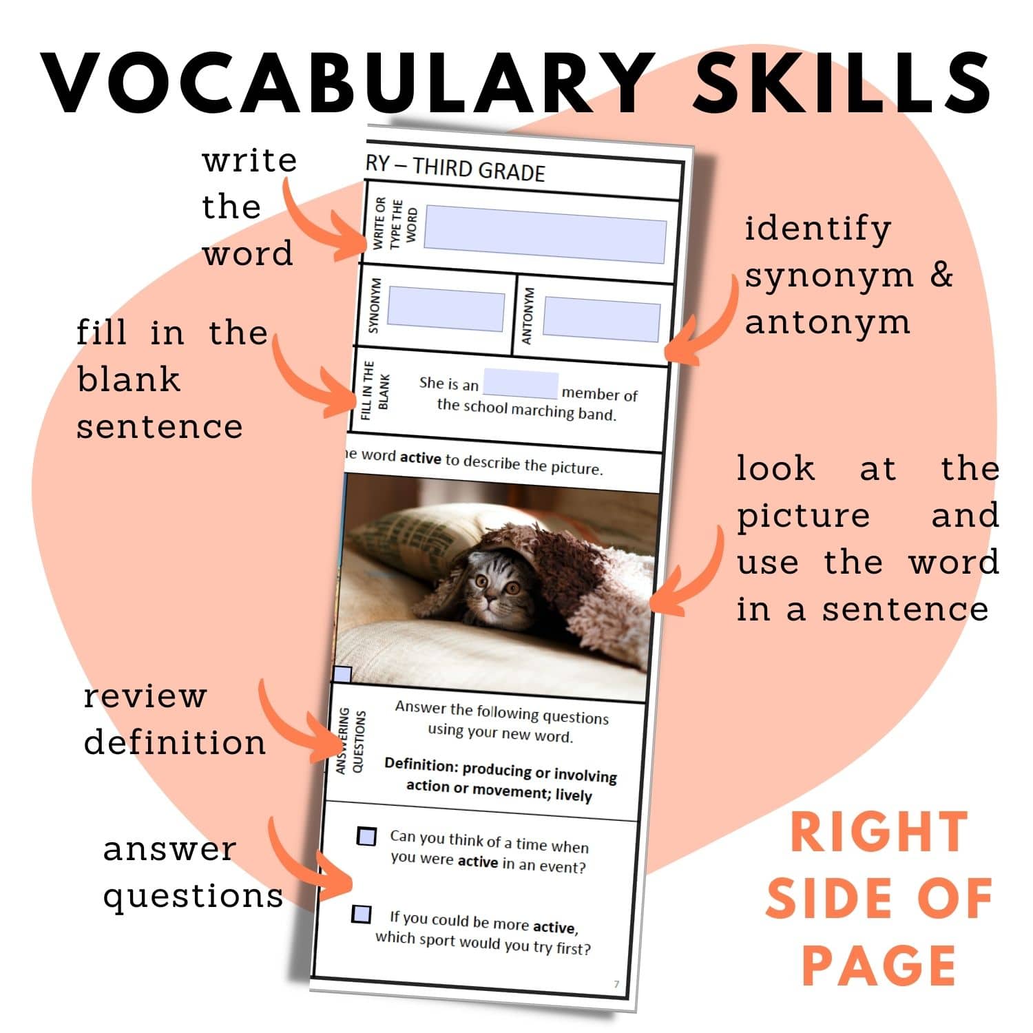 Tier 2 Words Speech Therapy - 3rd Grade – Speech Therapy Store